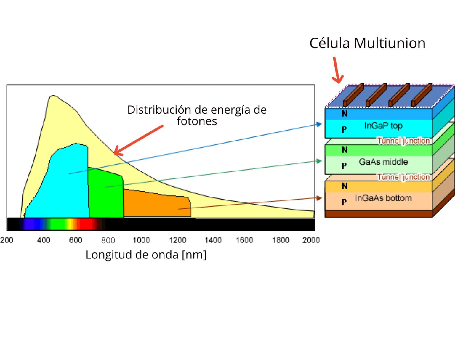 Tecnologías fotovoltaicas utilizadas en paneles solares | SunFields